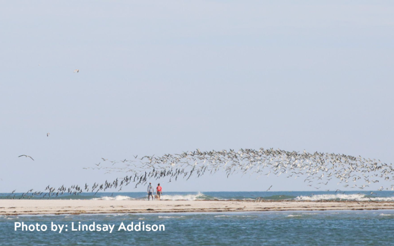 Research Projects - Dayer Human Dimensions Lab